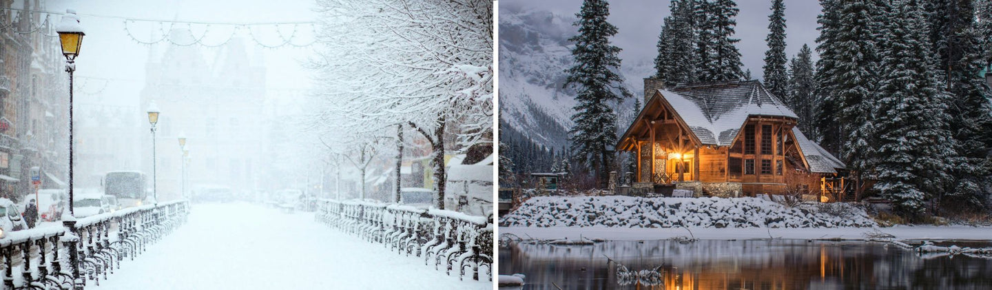 Flourish This Winter Solstice: Zodiac Sign Insights for Personal Growth